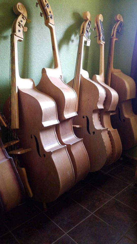 TOLOLOCHE MEXICANOS. Upright bass w/ nylon strings.